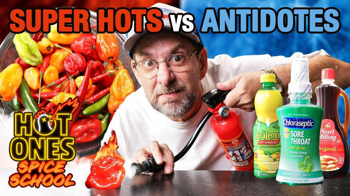 News – FirstWeFeast